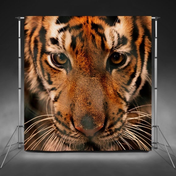Tiger Backdrops Forest Wildcat Fabric Backdrop Orange Black - Etsy