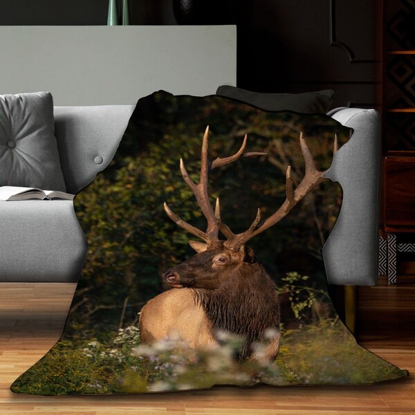 Soft Blanket - Etsy