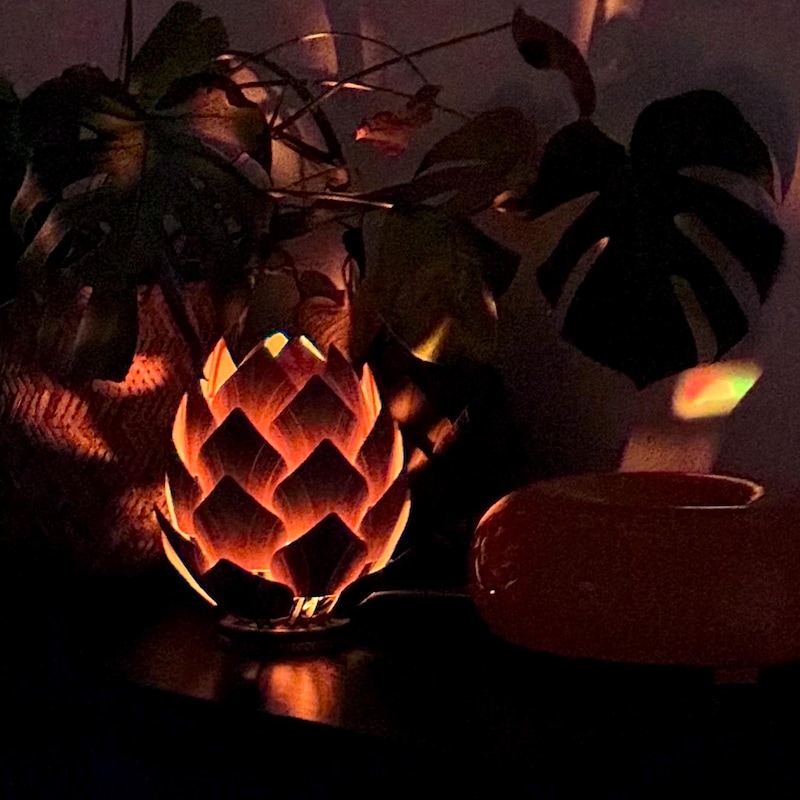 Nature Inspired Lamp - Etsy UK