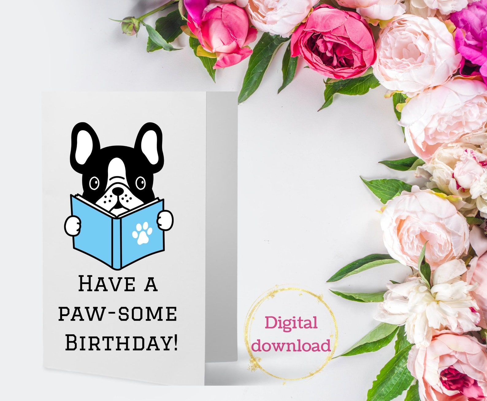 Dog Birthday Card Have a Paw-some Birthday Special Gift for Friends ...