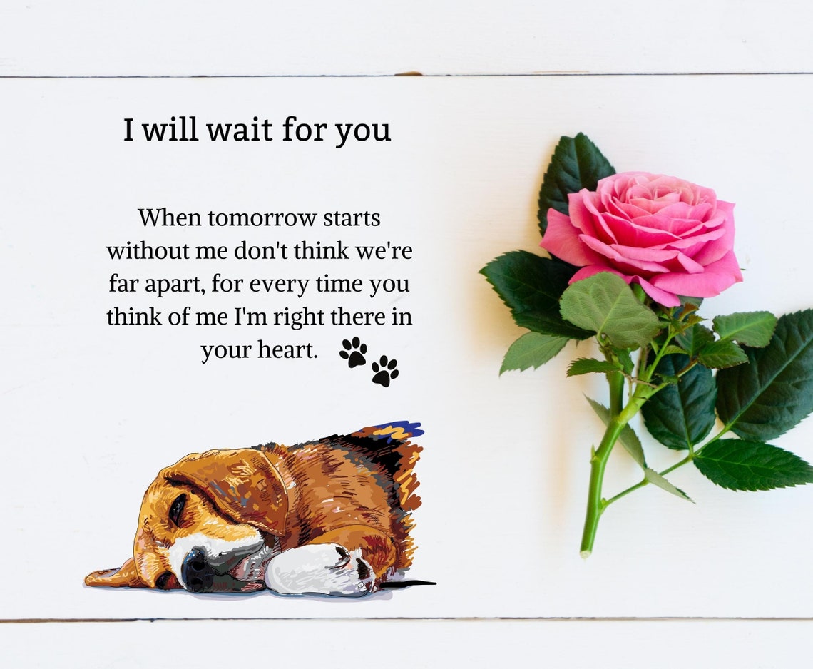 Sympathy Card, Pet Loss, Dog Loss, Grieving Card, Printable Gift ...
