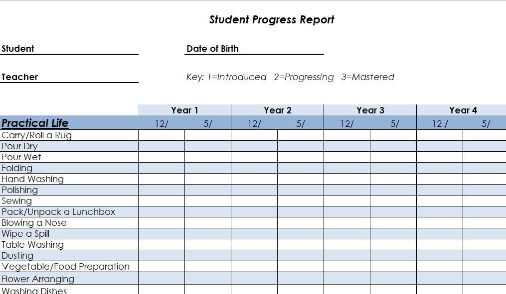 Cumulative Charting/progress Report Template Spreadsheet for - Etsy