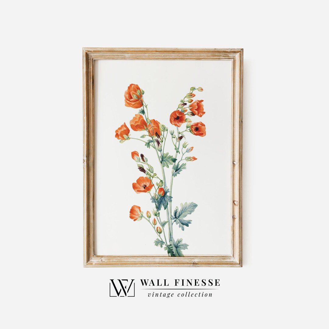 Antique Poppy Plant Print | Vintage Botanical Painting | Rustic ...