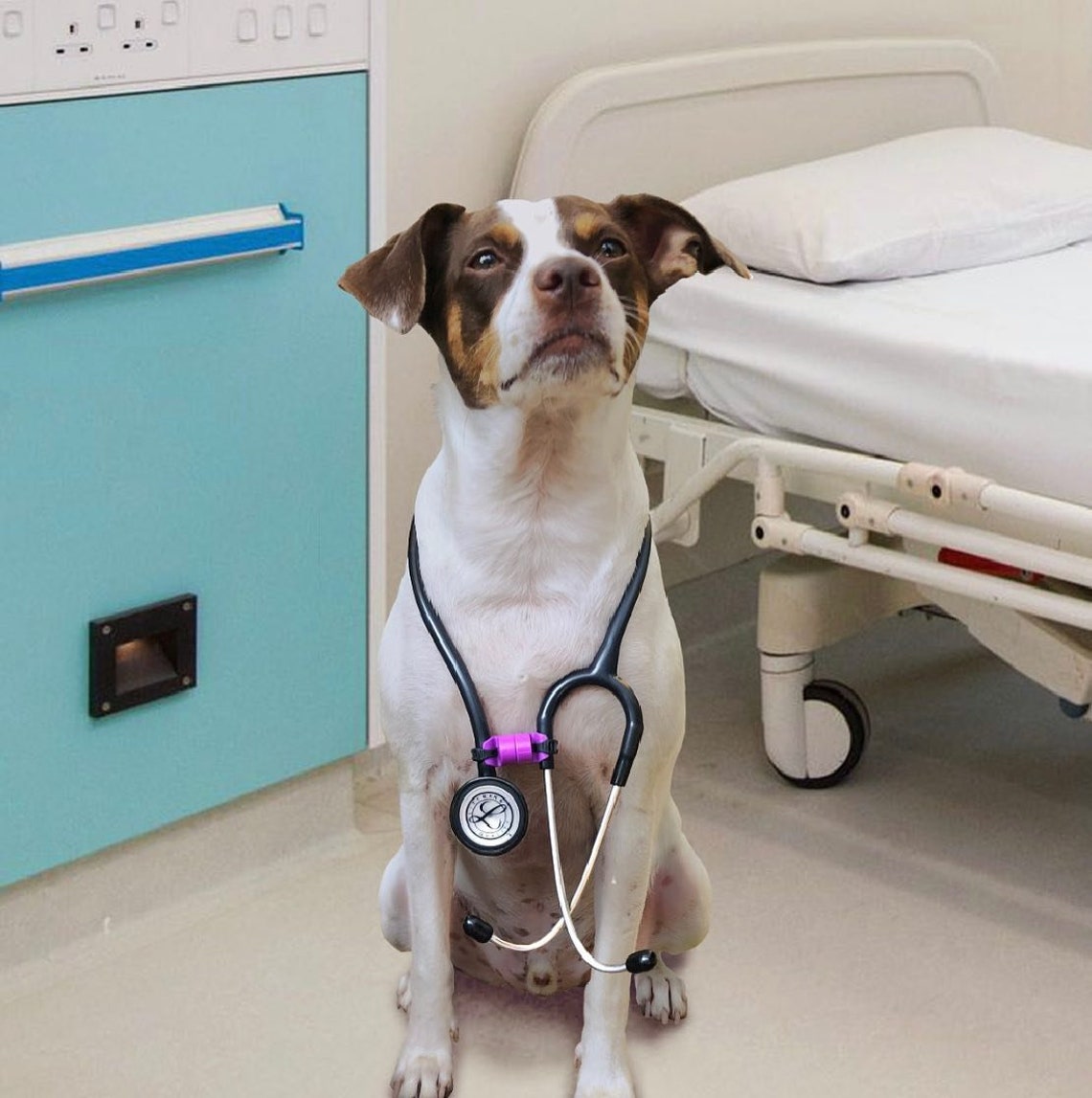 Stethoscope Attachment Patented - Etsy