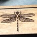 Dragonfly Oracle Tarot Card Holder. Three Cards Altar Stand With Candle ...