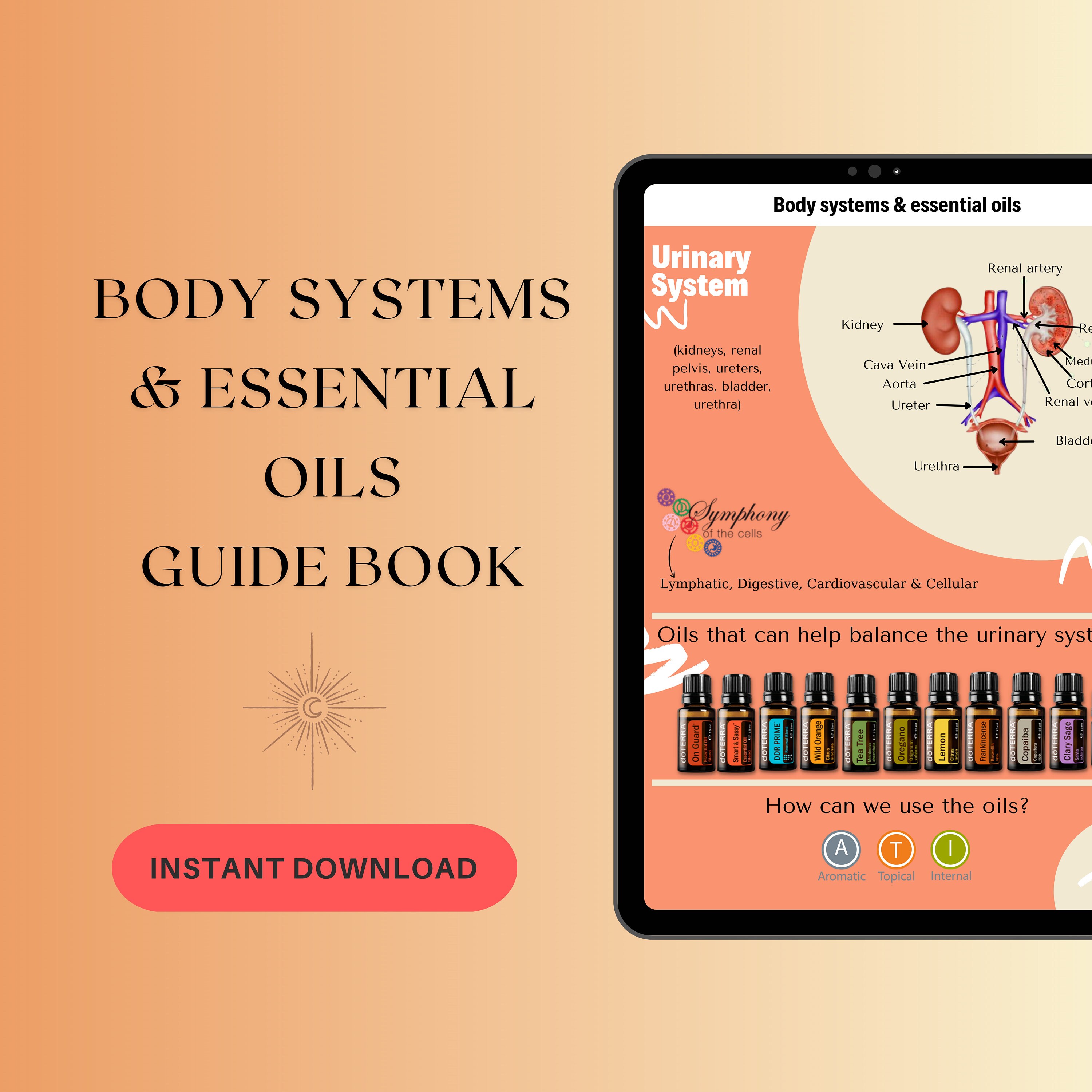 Guide Book Body Systems & Essential Oils Ebook Doterra Guide Essential ...