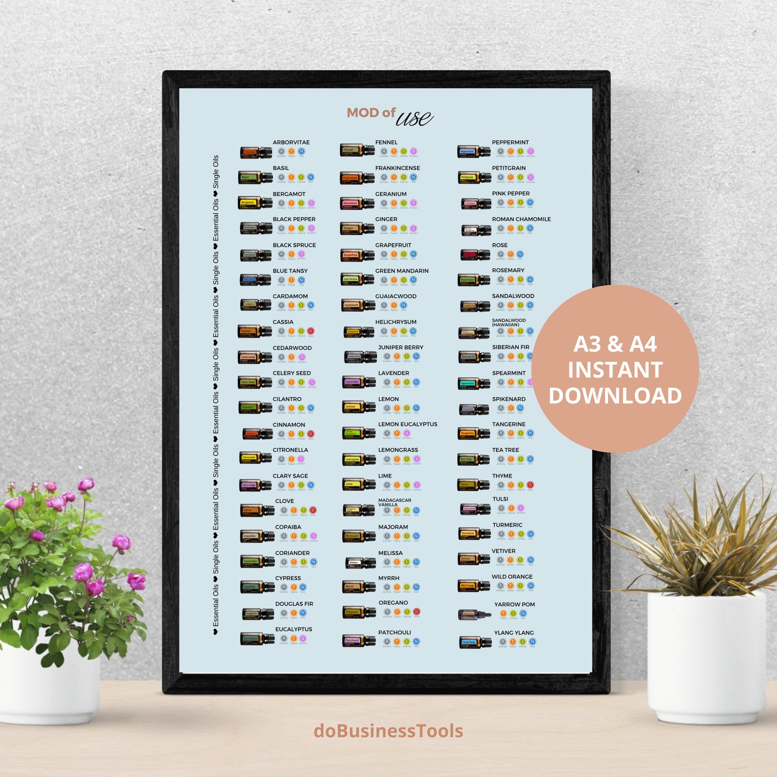 Essential Oils Guide PDF | How to Use Doterra Oils | Printable ...
