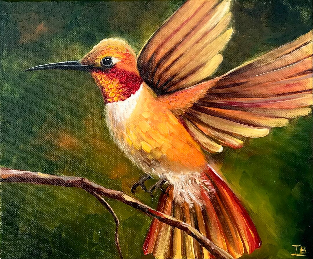 Unique Bird Art Small Colibri Original Painting Made to Order - Etsy