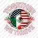 Mexican and USA Flag PNG for Unity and Pride - Etsy