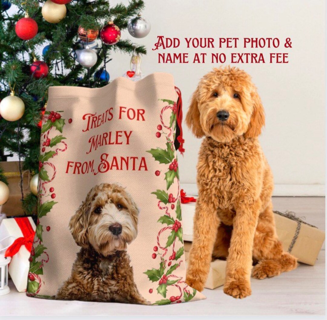 Personalized Pet Santa Bag | Santa Toy Bag for Pets | Christmas Present ...