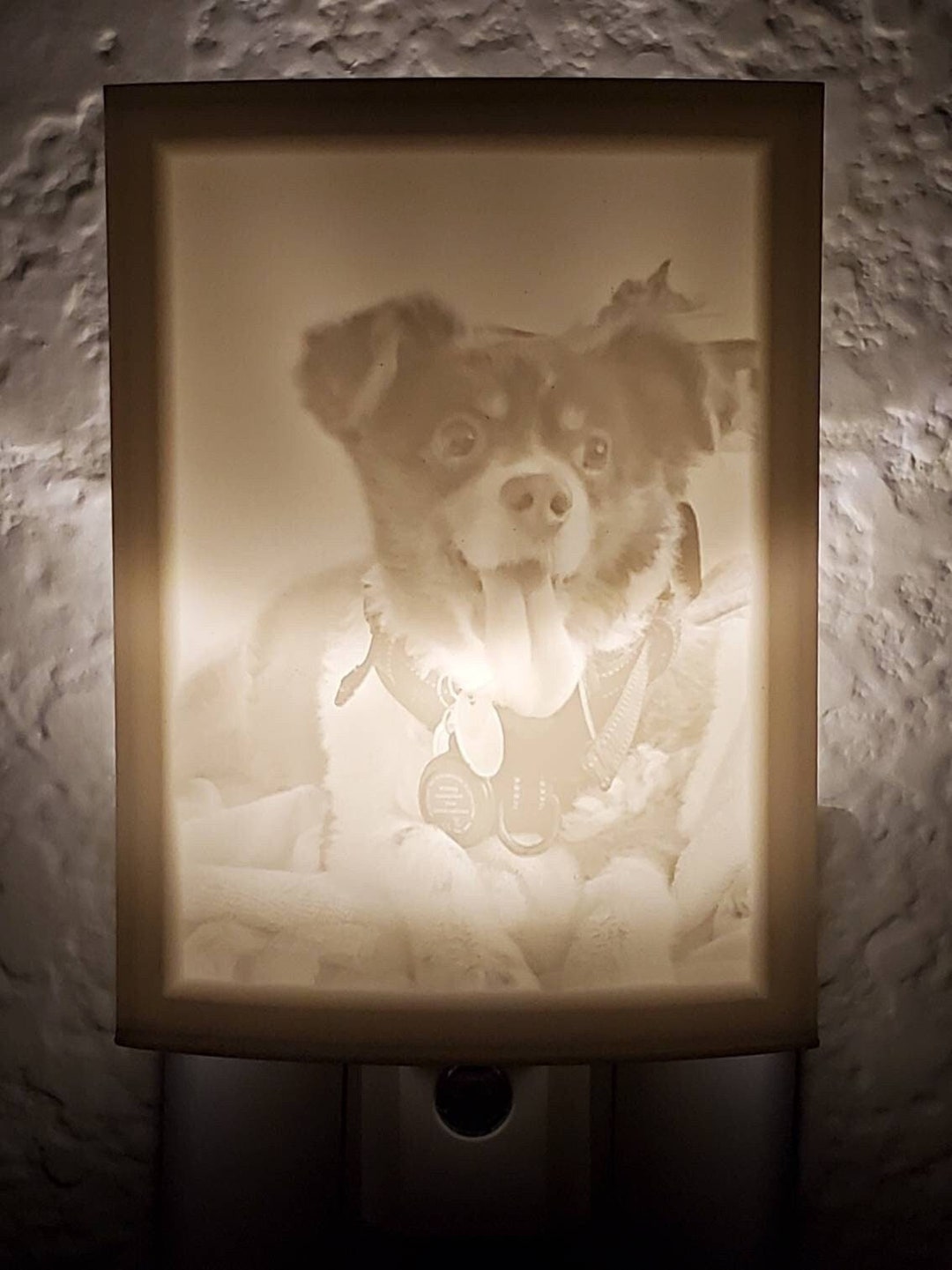 Dog Night Light: Personalized Custom 3D Gift | Pet Plug in Nightlight ...