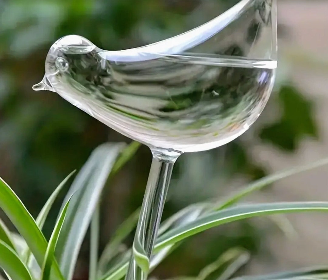 Plant Self Watering Cute Bird Stake. Transparent Hard Sturdy Plant ...