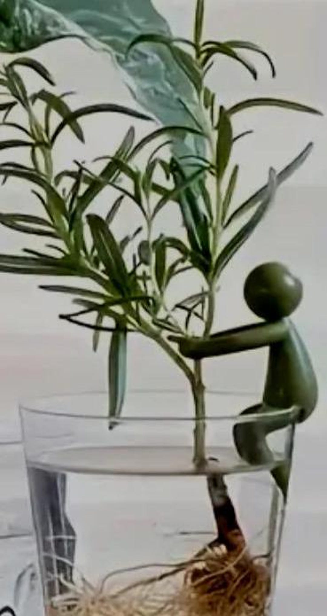 Plant Propagation/ Stem Holder Cute Decorative & Keeps Your Plant Props ...