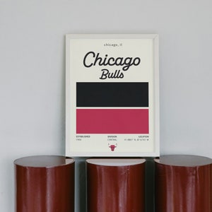 Chicago Bulls Color Swatch Bulls Basketball Printable NBA Team Colors ...