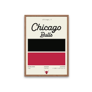 Chicago Bulls Color Swatch Bulls Basketball Printable NBA Team Colors ...