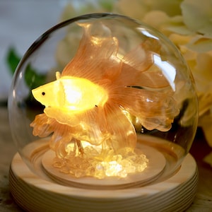 Handmade Mini Betta Fish Aquarium Lamp, Ocean Theme Ambient Mood Light ...