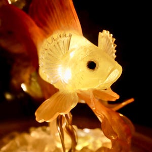 Handmade Mini Betta Fish Aquarium Lamp, Ocean Theme Ambient Mood Light ...