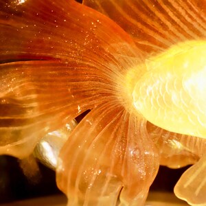 Handmade Mini Betta Fish Aquarium Lamp, Ocean Theme Ambient Mood Light ...