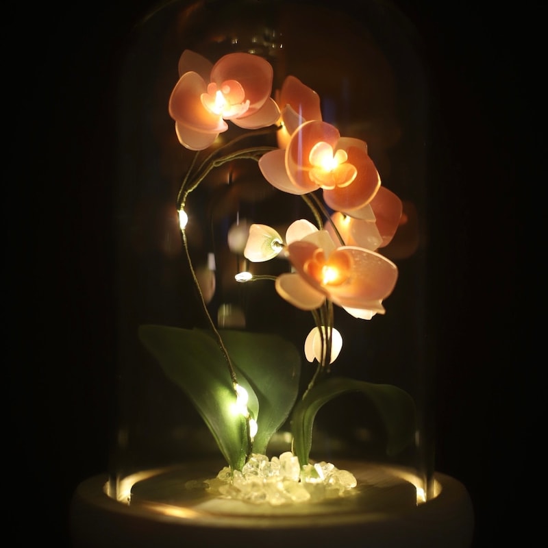 The Moth and the Lamp - Etsy