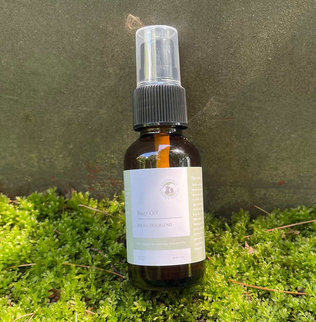 Buzz Off: Insect Repellent Spray - Ward off Bugs, Fleas, and Ticks ...