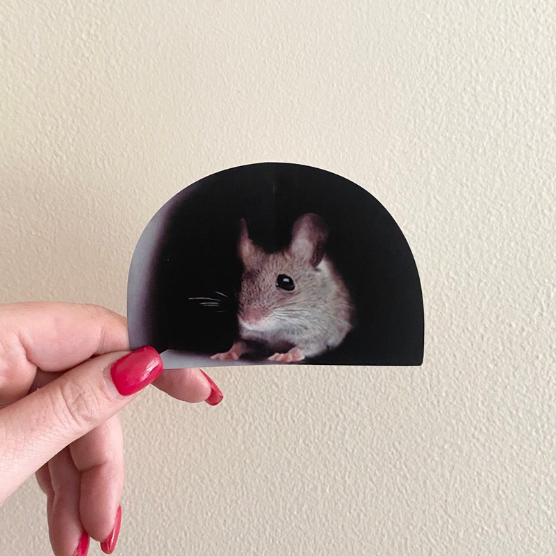 Prank Mouse - Etsy