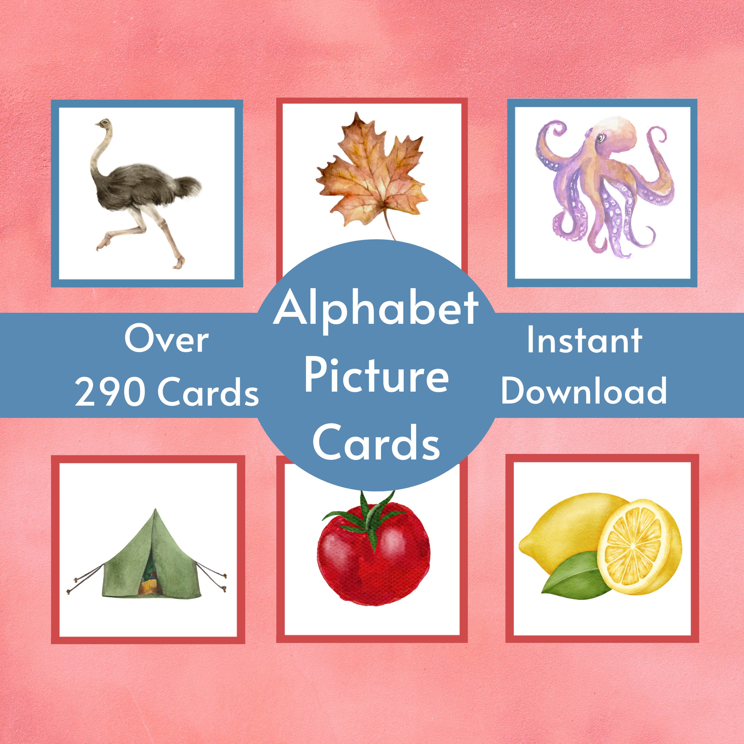 Alphabet Picture Card Activity for Kids Practice ABC Letter Card ...