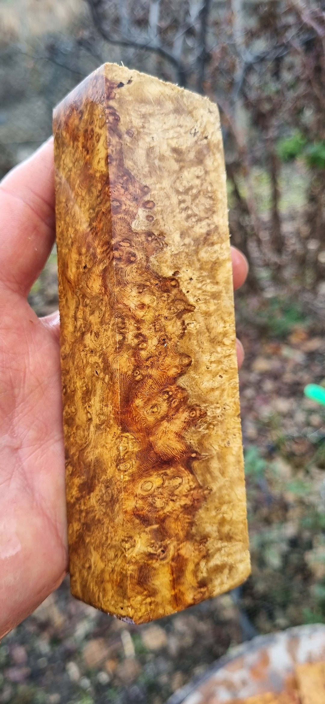 10 Pcs Amboyna Burl Wood Natural - Etsy