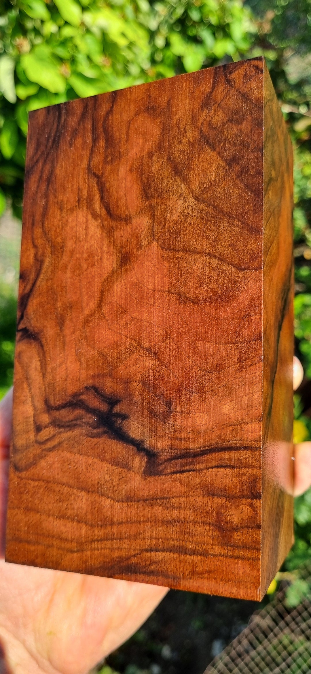 Large Black Walnut Blanks Burl Slab Wood - Etsy