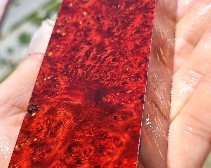 Stabilized and Dyed Maple Burl Blocks. Perfect for Knife Making. M20 - Etsy