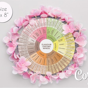 Editable Flavor Tasting Wheel Template: Printable Aroma Profile Chart ...