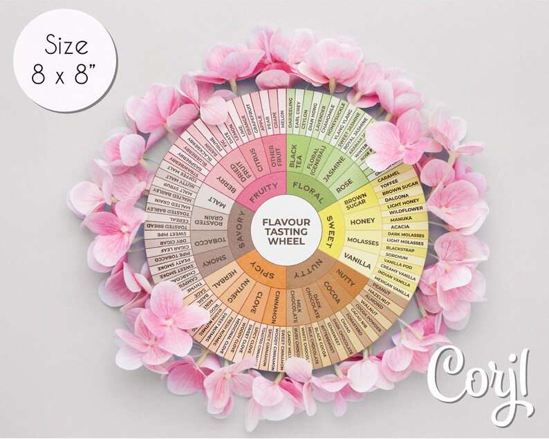Editable Flavor Tasting Wheel Template: Printable Aroma Profile Chart ...