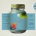 Editable Sea Moss Gel Label Template, Printable Superfood Supplement ...