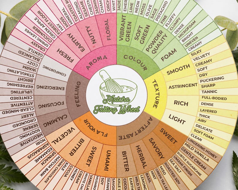 Editable Matcha Flavor Wheel Template: Matcha Tasting Party Printables ...