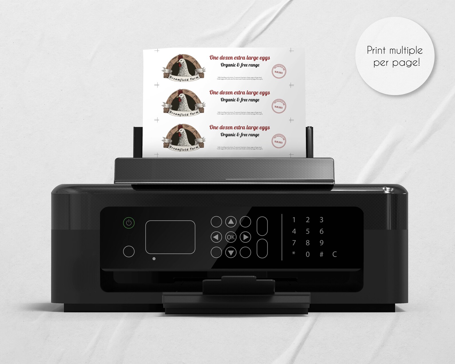 Editable Egg Carton Label Template, DIY Farm Label, Customizable Egg ...