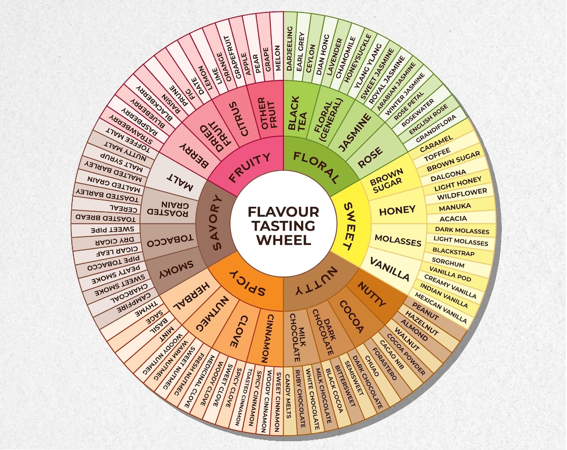 Editable Flavor Tasting Wheel Template: Printable Aroma Profile Chart ...