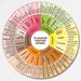 Editable Flavor Tasting Wheel Template: Printable Aroma Profile Chart ...