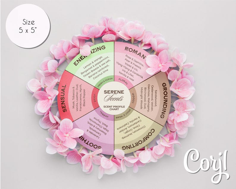 Editable Scent Profile Chart Template: Fragrance Visual Guide (instant ...