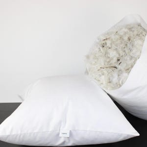 Down Feathers Inserts - Etsy