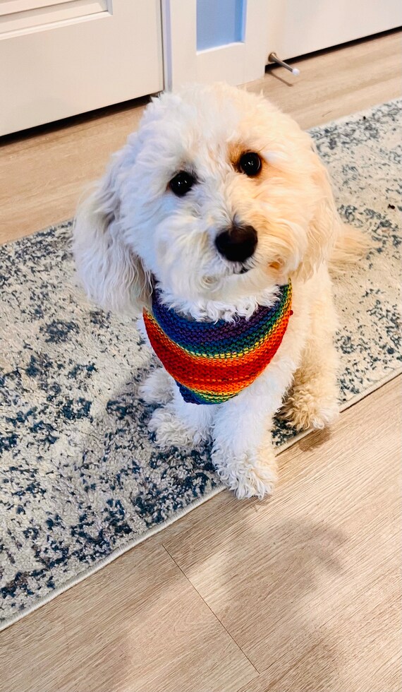 Custom knit Dog Bandana Etsy UK