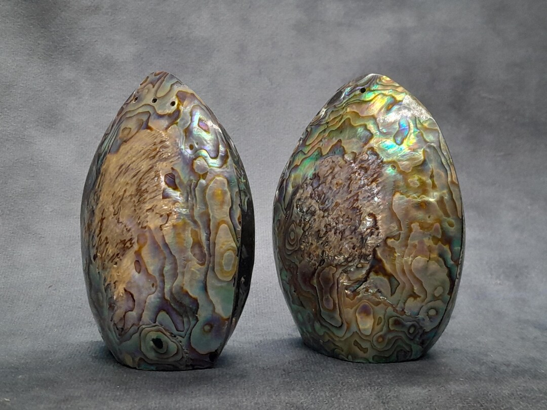Pair of Abalone Paua Shell Salt and Pepper Shaker Pot, Matching Pair ...