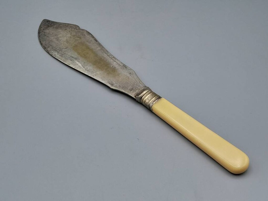 EPNS Cake Slice / Lifter With Plastic Handle, Well Used - Etsy