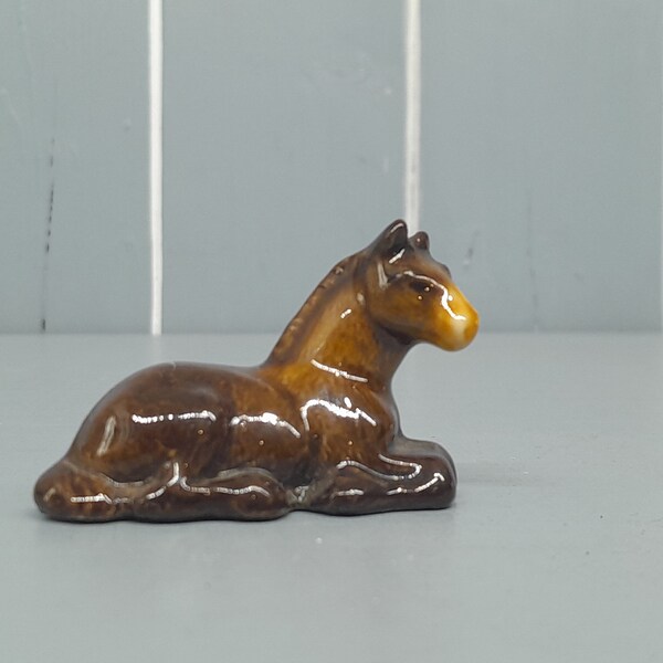 Horse Laying Down - Etsy