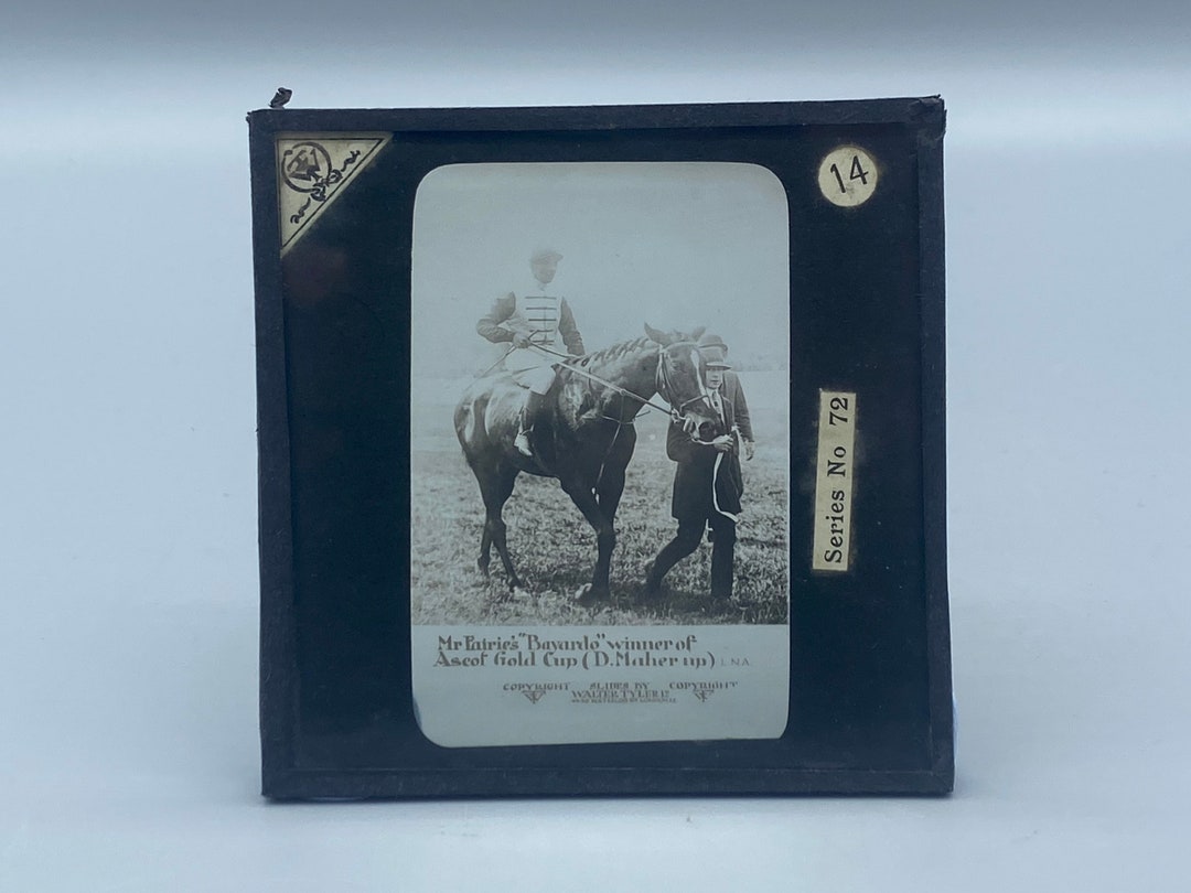 Antique Black and White Magic Lantern Slide, 1910 Ascot Gold Cup Winner ...