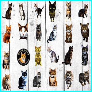 Cat Sticker Pack, Cat Stickers, Printable Stickers Bundle, Sticker Pack ...
