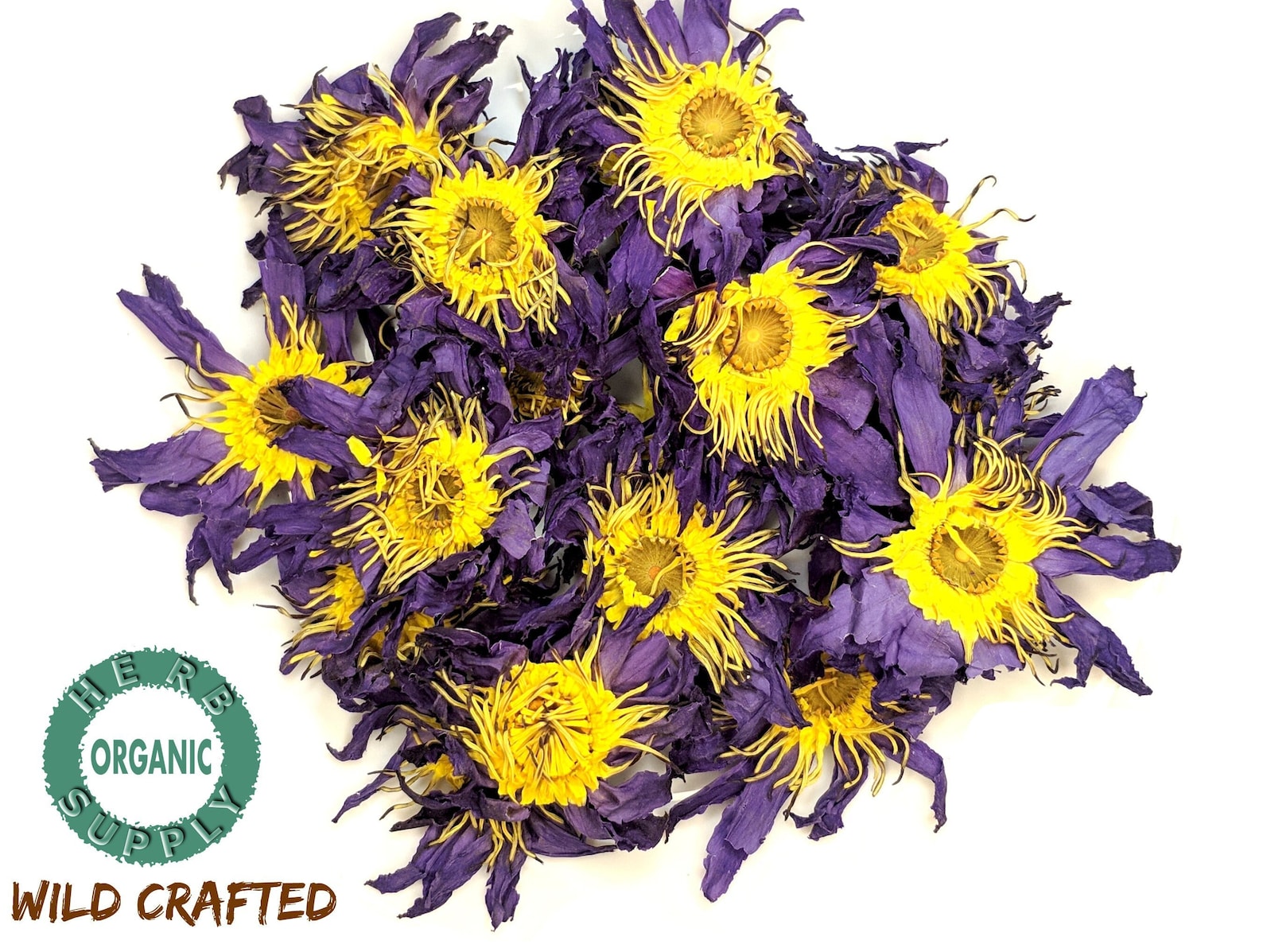 Nymphaea caerulea | Blauer Ägyptischer Lotus | Heilige Seerose | Blauer ...