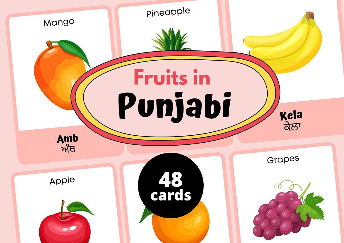 Punjabi Flashcards, Learn English/punjabi Fruits, 25 Punjabi Flash ...