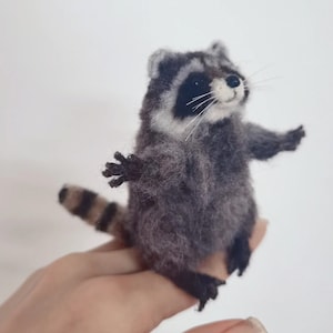 Raccoon - Etsy