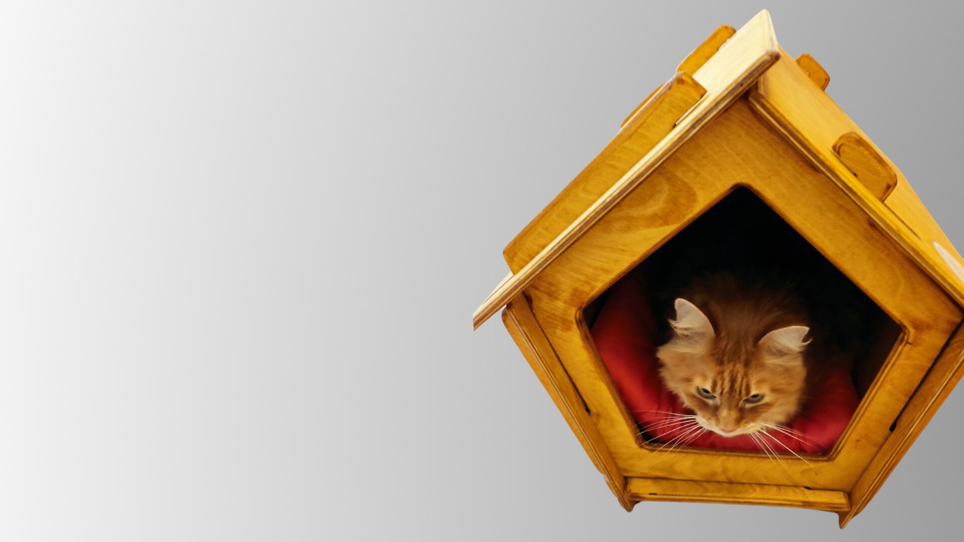 Cat House, Luxury Cat House, Wooden, Eco - Etsy
