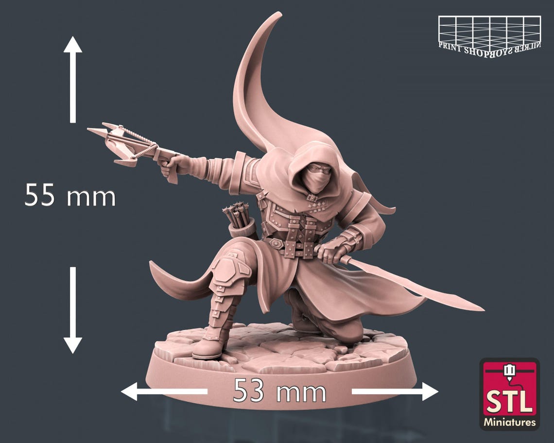 Rogue - the Assassin Miniature | Male Assassin Rogue Miniature | Heroic ...