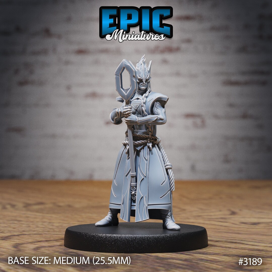 Elf Dragon Cultist Wizard Miniature | Elf Dragonclaw Wizard | for D&D ...